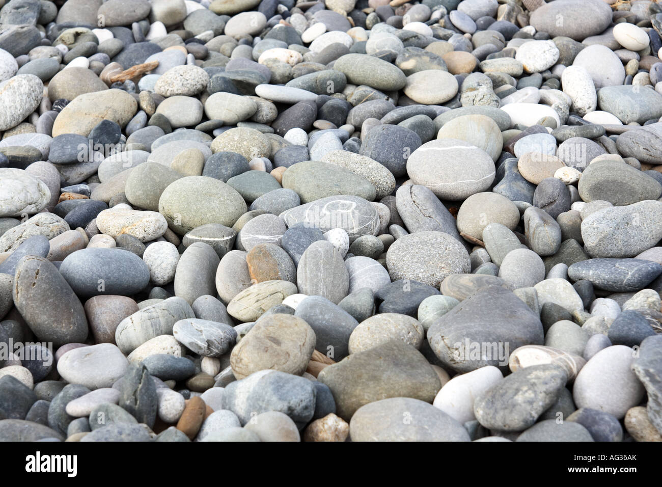 Various sea pebbles in the coastline Stock Photo - Alamy