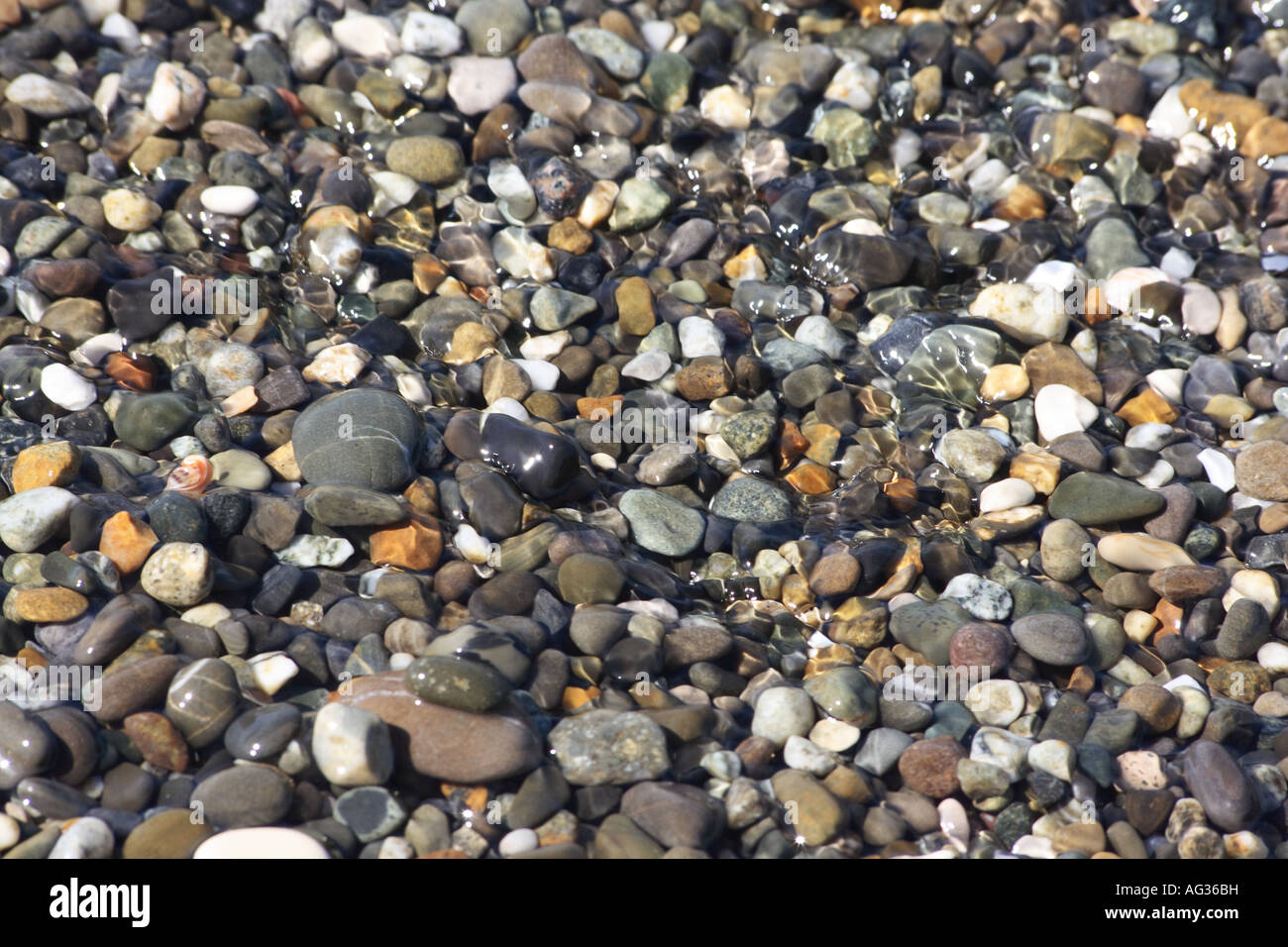 Various sea pebbles in the coastline Stock Photo - Alamy
