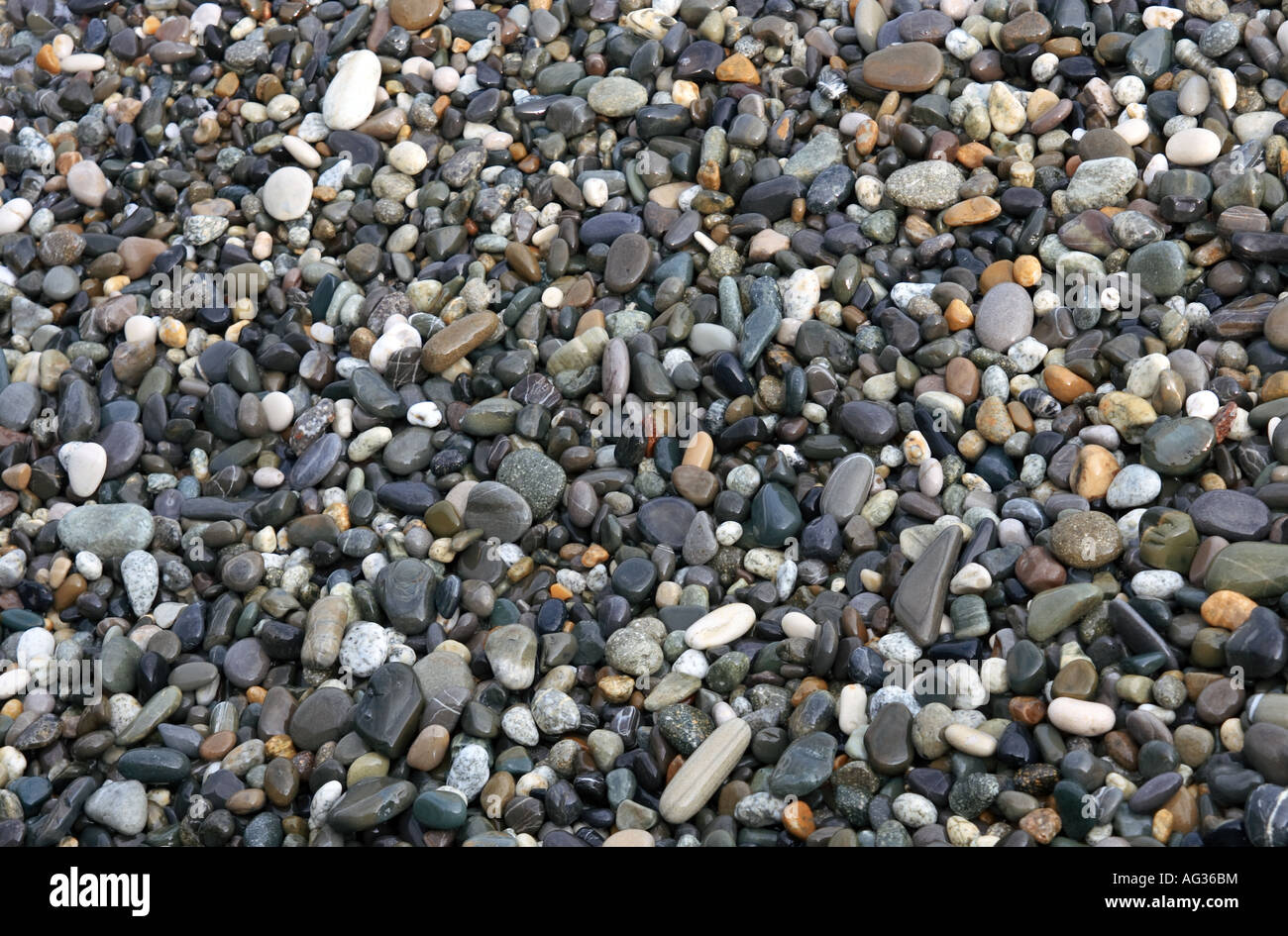 Various sea pebbles in the coastline Stock Photo - Alamy