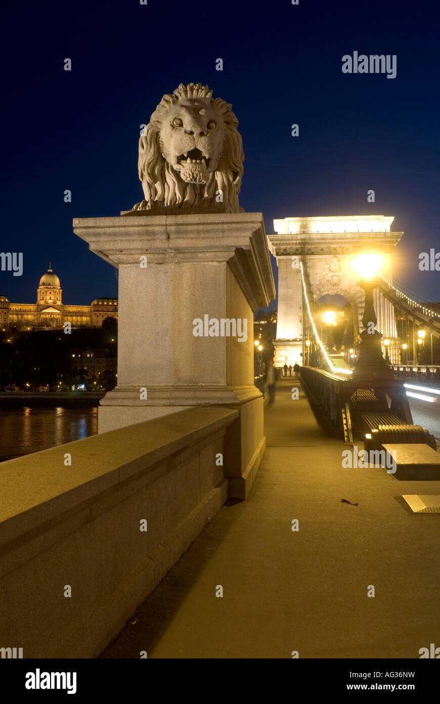 Chain Bridge Lion and Buda Castle Royal Palace at dusk Budapest Hungary ...