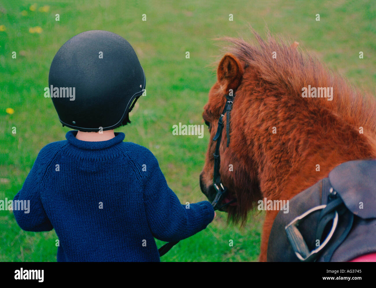 Young child with pony Stock Photo - Alamy