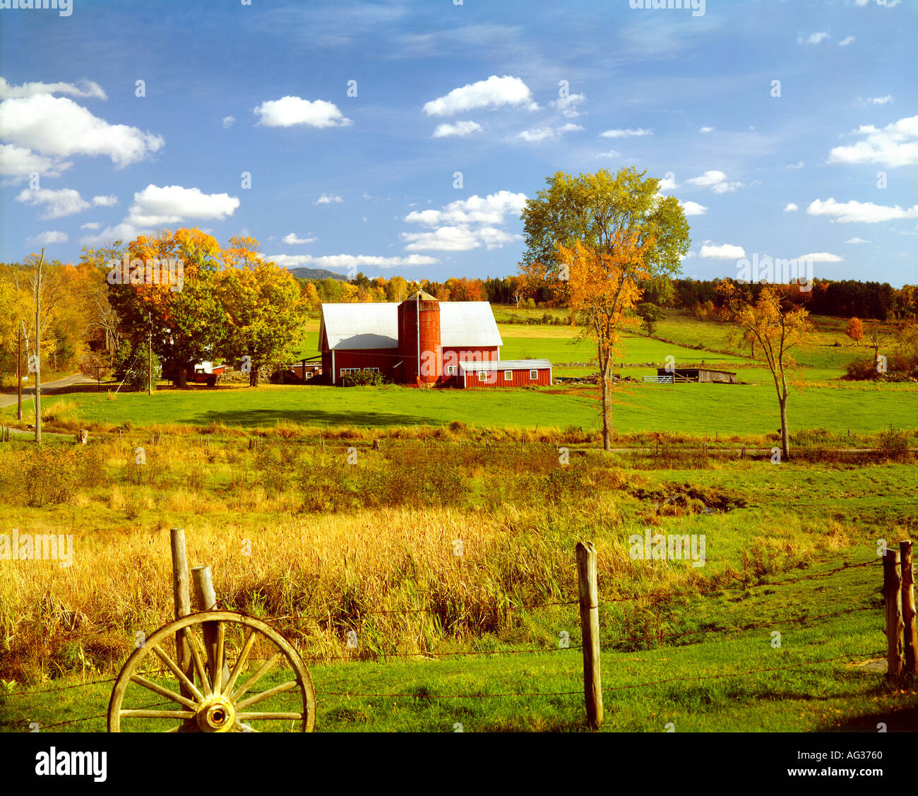 Barnard hi-res stock photography and images - Alamy