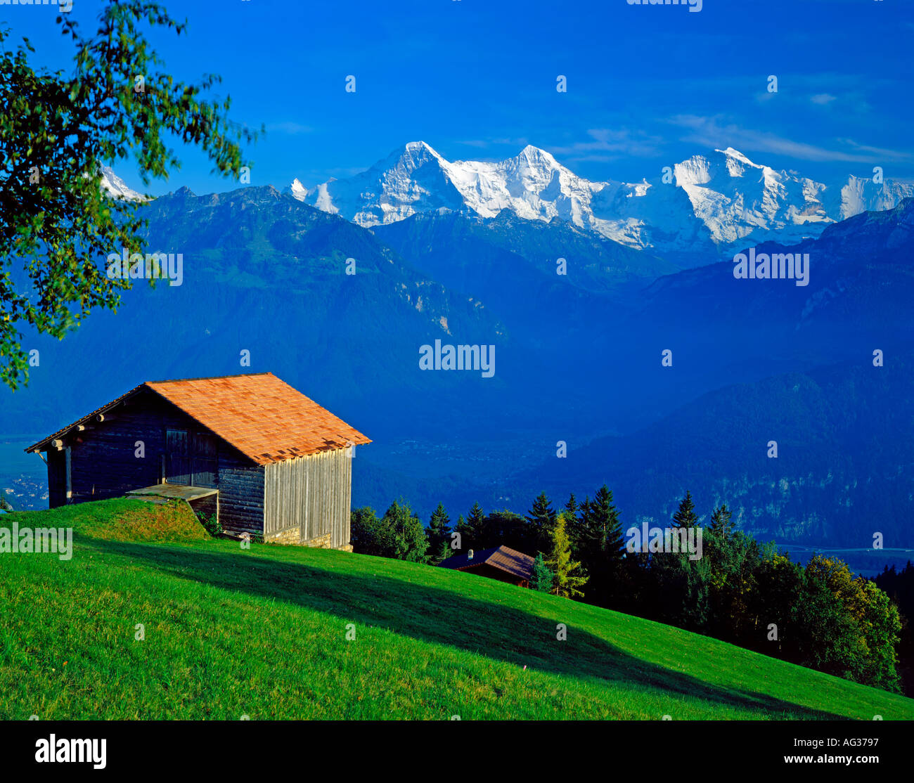 Eiger mountain range near Interlaken Switzerland Stock Photo - Alamy