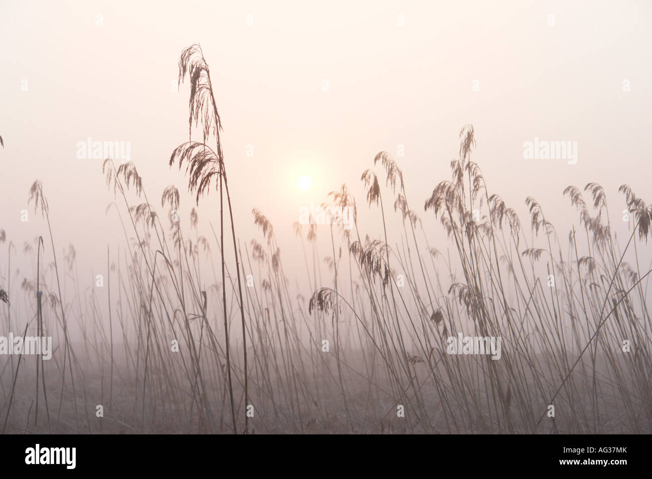 Misty landscape hi-res stock photography and images - Alamy