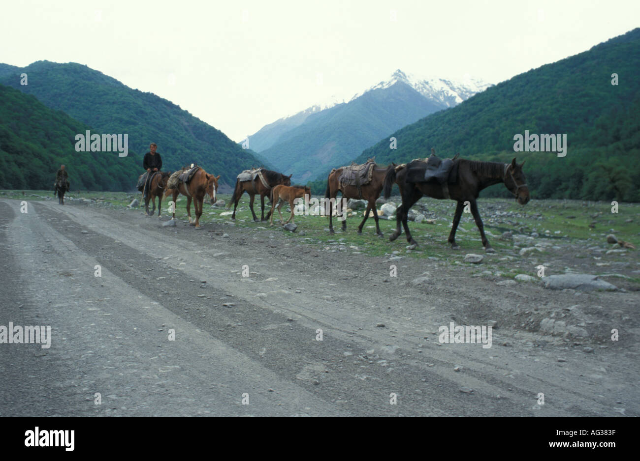 Men and horses in the Pankisi Valley Georgia Stock Photo - Alamy