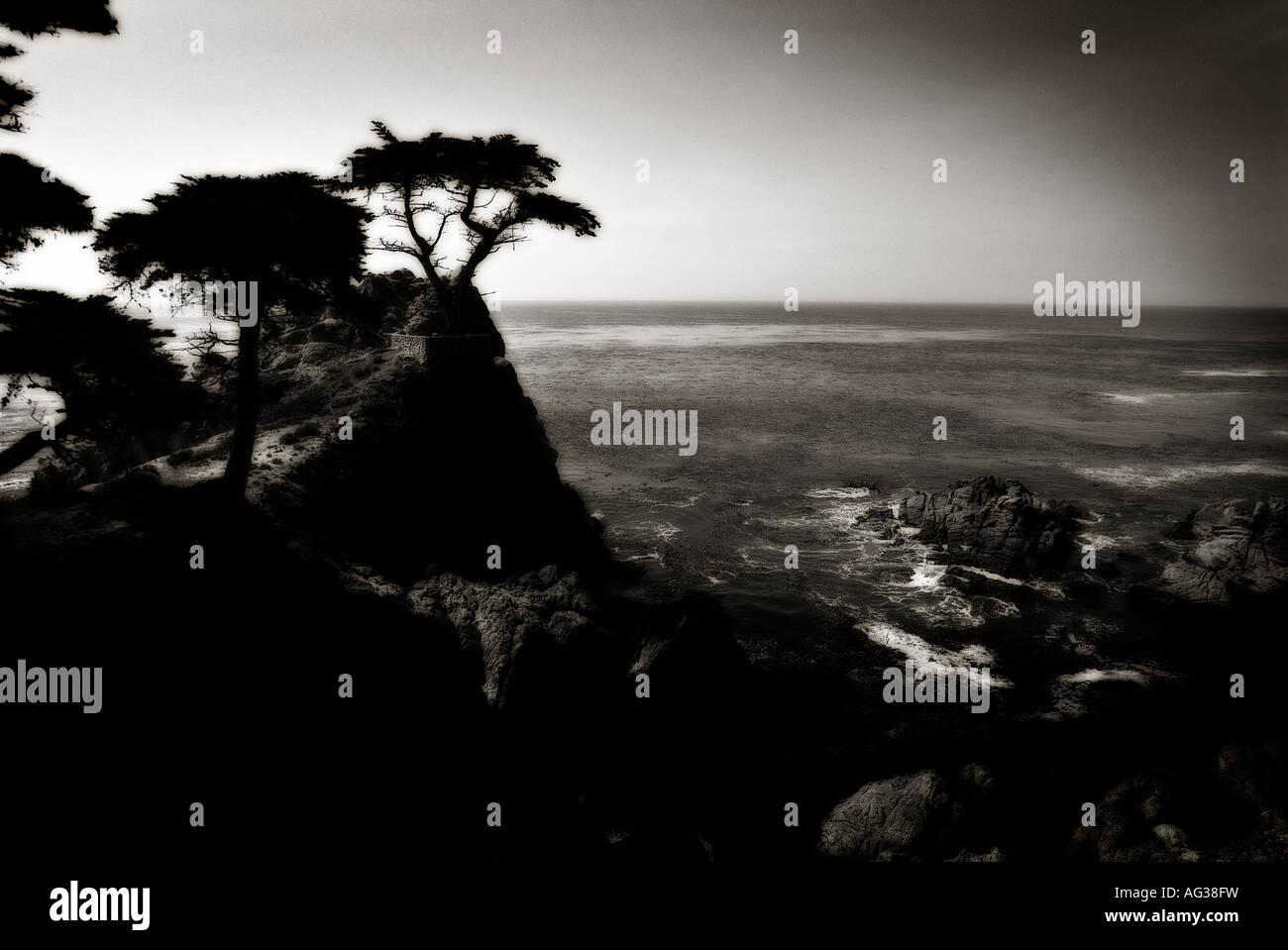 The Lone Cypress Tree. 17-Mile Drive. Monterey Bay. California. USA ...