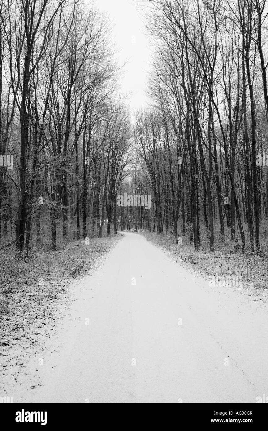 A freshly snow covered path Stock Photo - Alamy