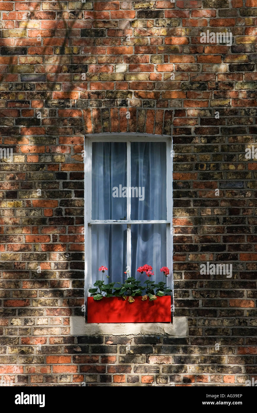 Window in Oxford England UK August 2007 Stock Photo - Alamy