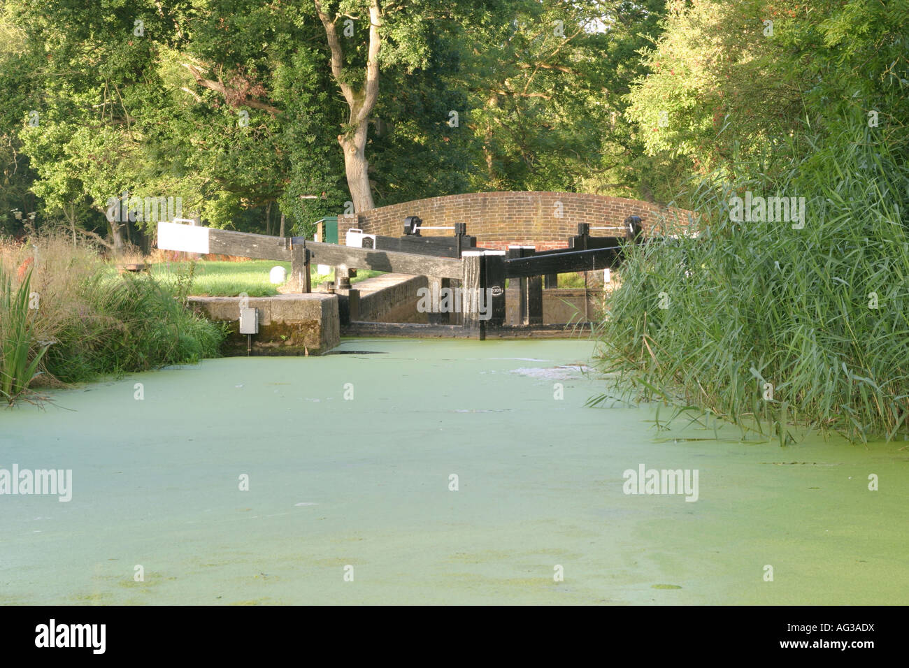 Wey and arun waterway hi-res stock photography and images - Alamy