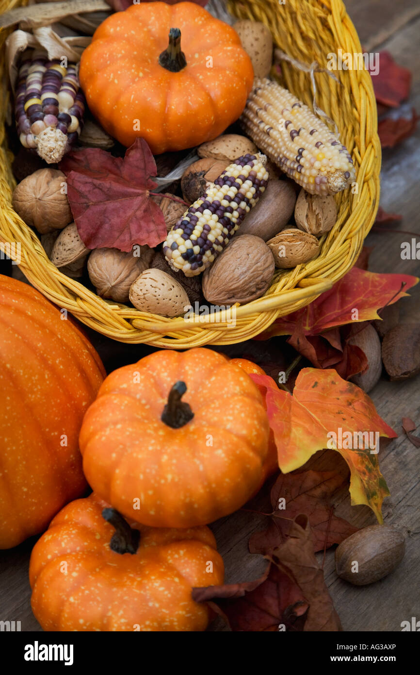 Fall cornucopia hi-res stock photography and images - Alamy