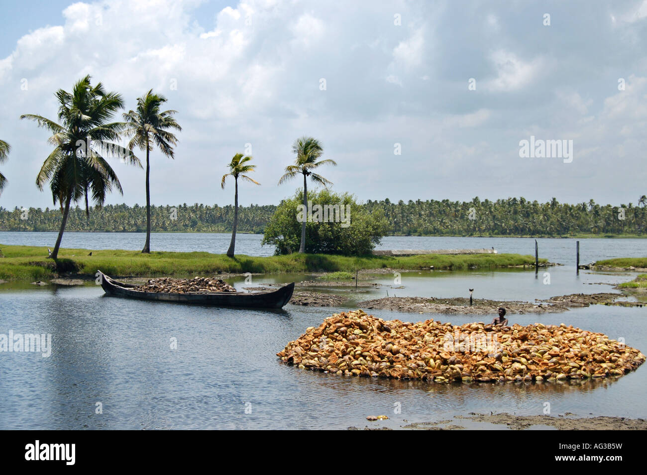 new and old husks Stock Photo - Alamy