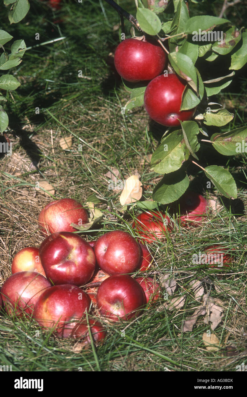 Enriching yourself hi-res stock photography and images - Alamy