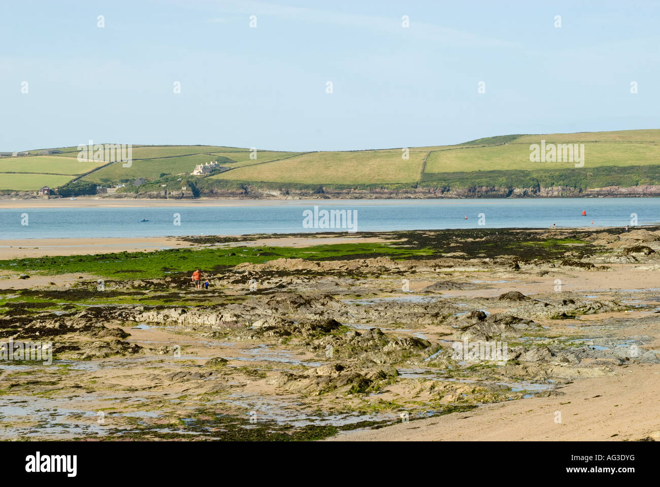 The Camel Estuary, cornwall UK Stock Photo - Alamy