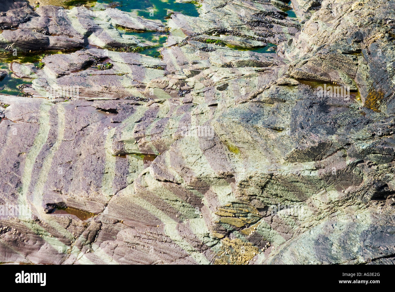 Killas Rock formation, Polzeath, Cornwall, UK Stock Photo - Alamy