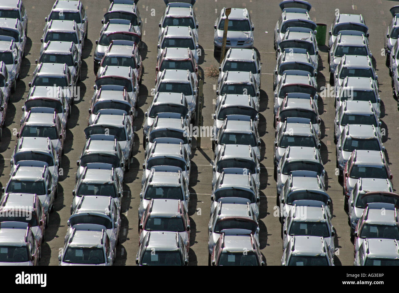 Rows of identical cars Stock Photo - Alamy