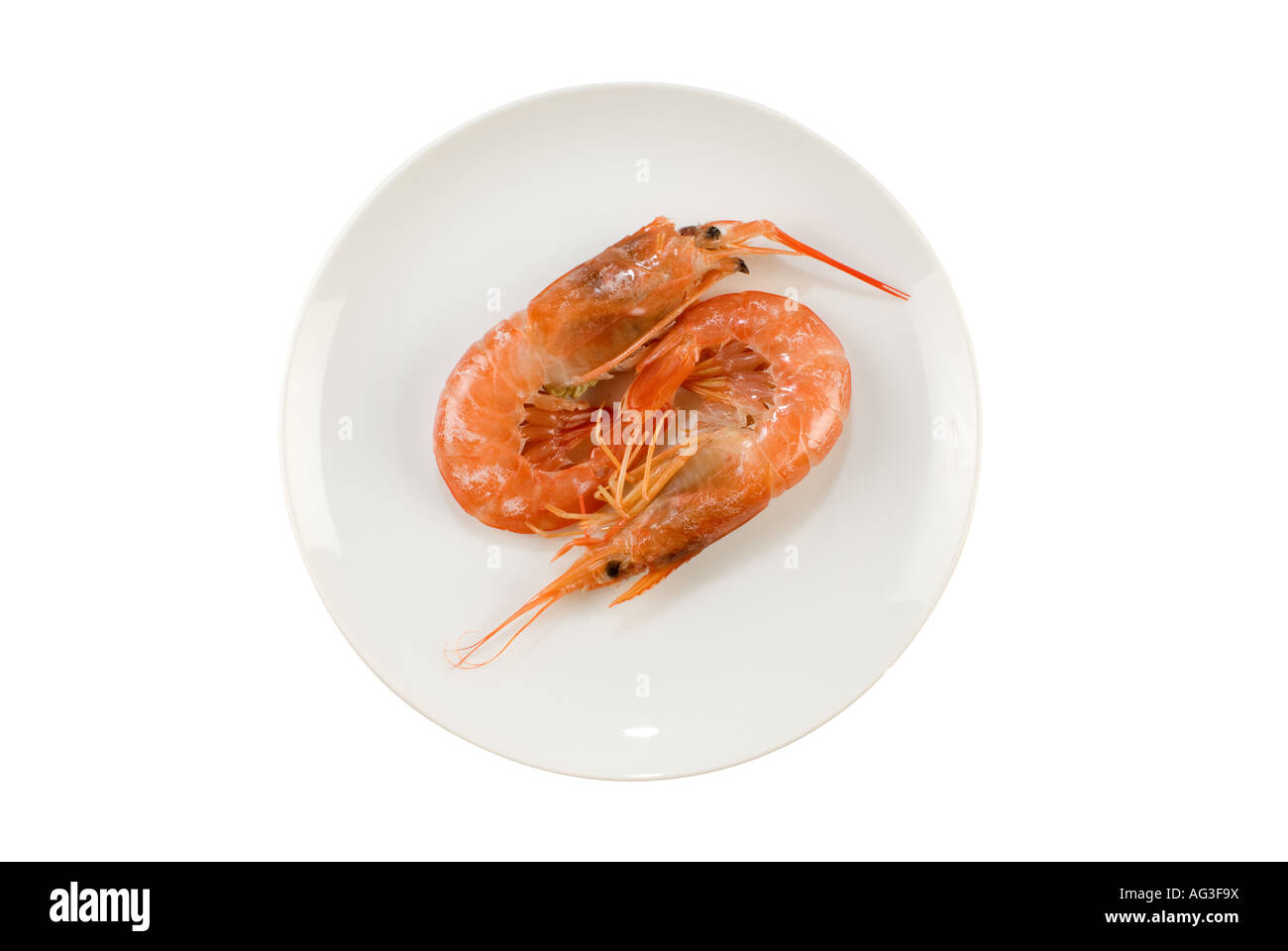 King plate Cut Out Stock Images & Pictures - Alamy