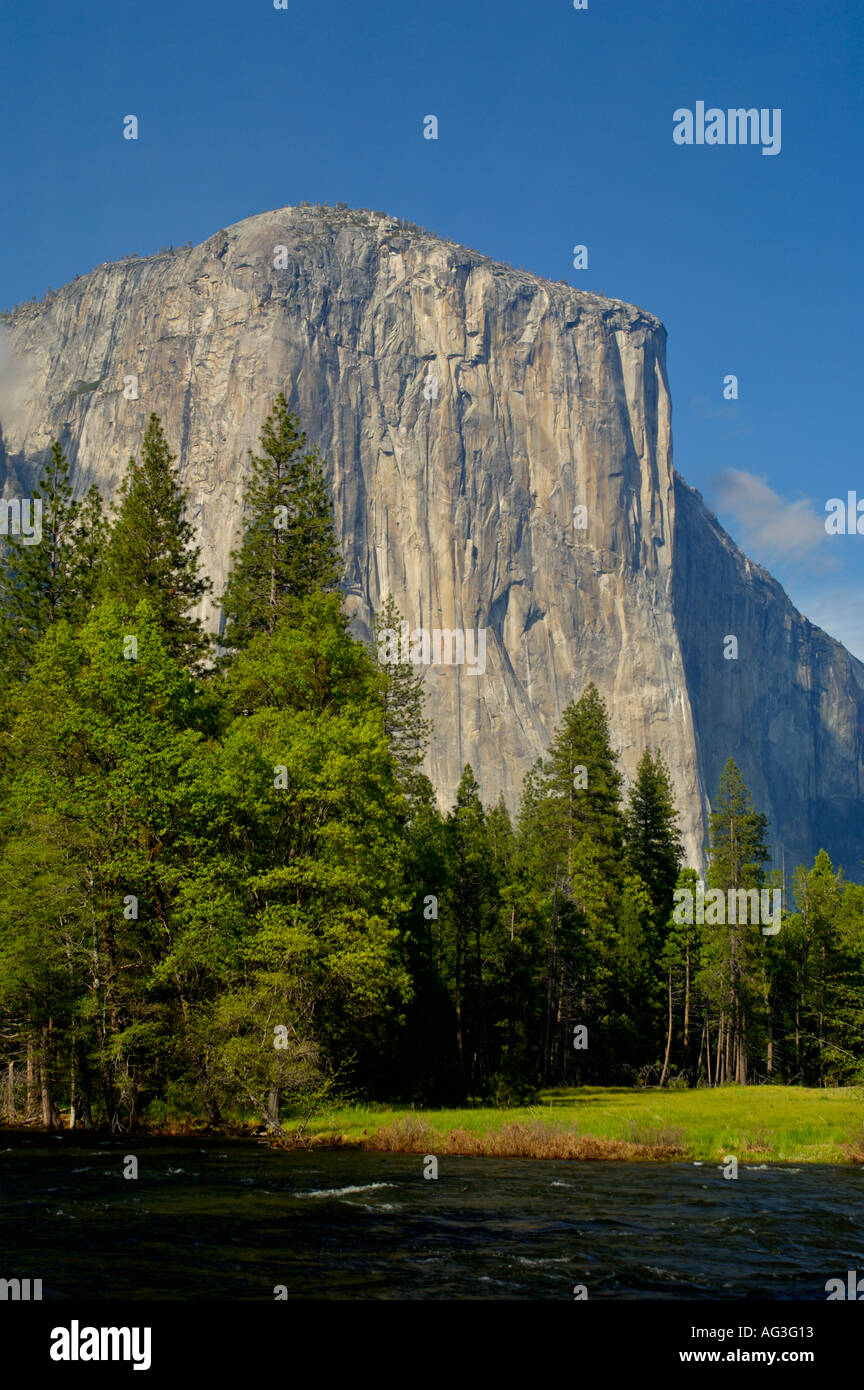 Salathe Wall of El Capitan above the Merced River in spring Yosemite ...