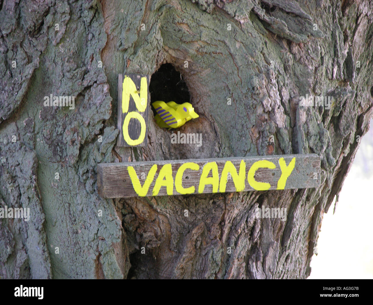 funny wood bird home nest no vacancy Stock Photo - Alamy