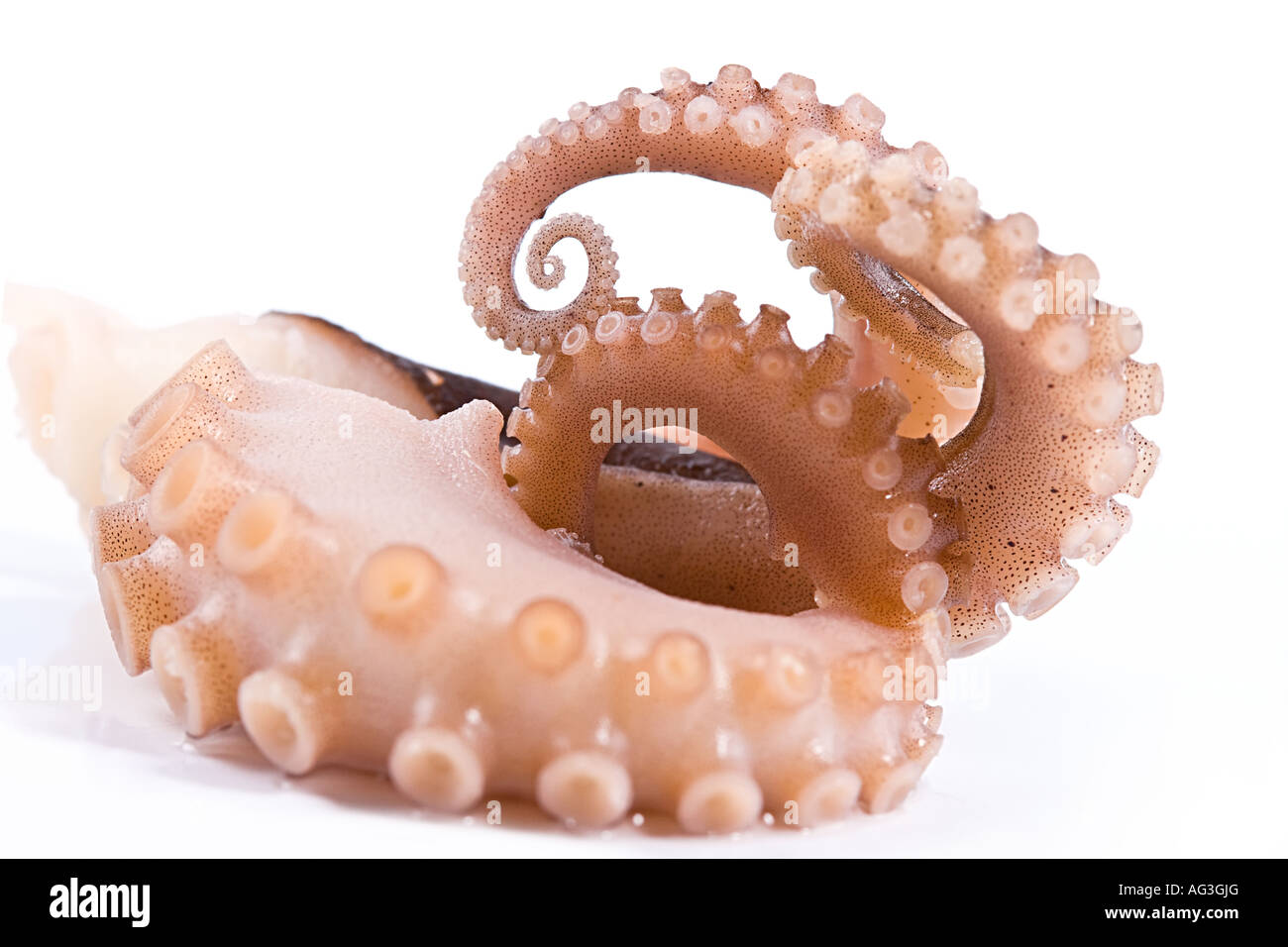 delicatessen octopus meat isolated on the white background Stock Photo ...