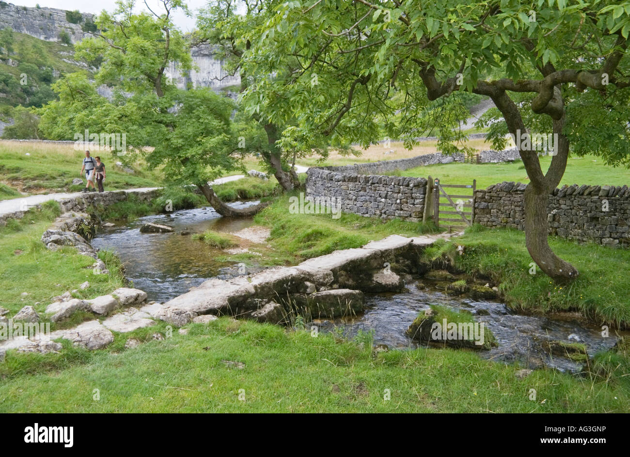 Yorkshire Dales Malham Clapper Bridge England UK Stock Photo - Alamy