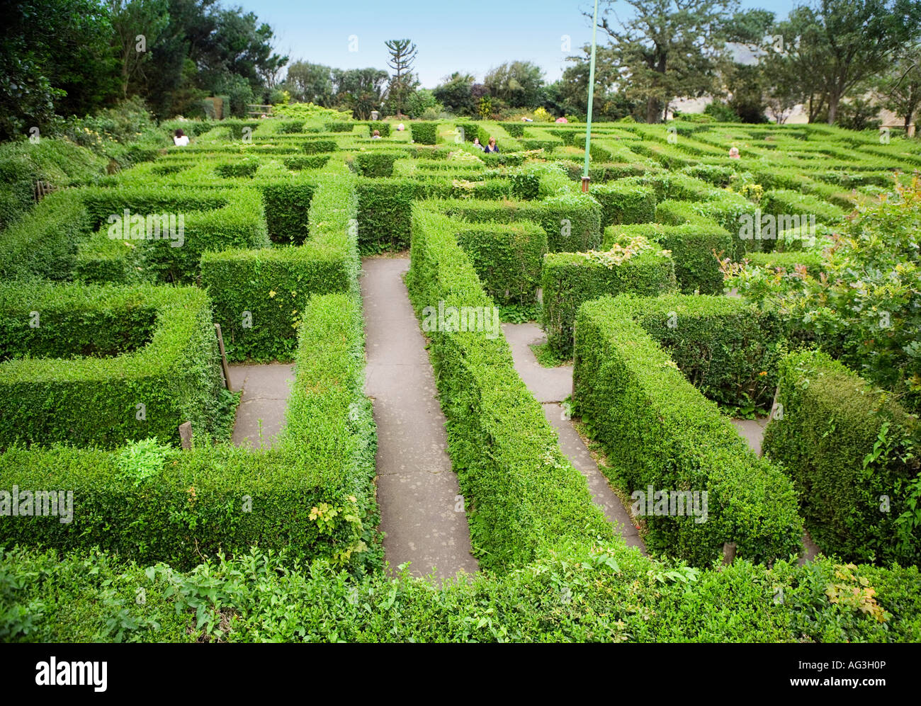 Hedge maze above hi-res stock photography and images - Alamy