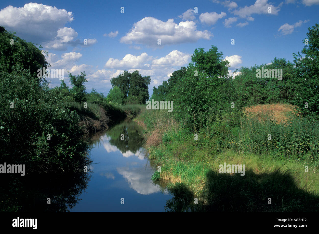Agriculture irrigation aquaduct and riparian habitat at Kaweah Oaks ...