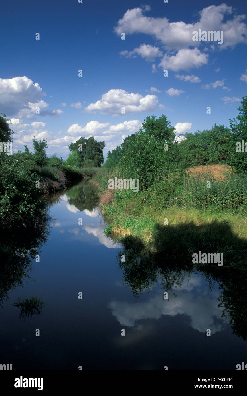 Agriculture irrigation aquaduct and riparian habitat at Kaweah Oaks ...