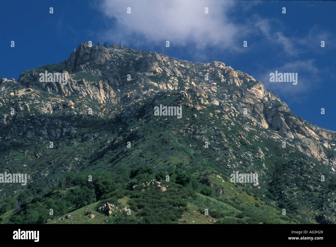 Spring in the Sierra Foothills Double Eagle Ranch near Three Rivers ...