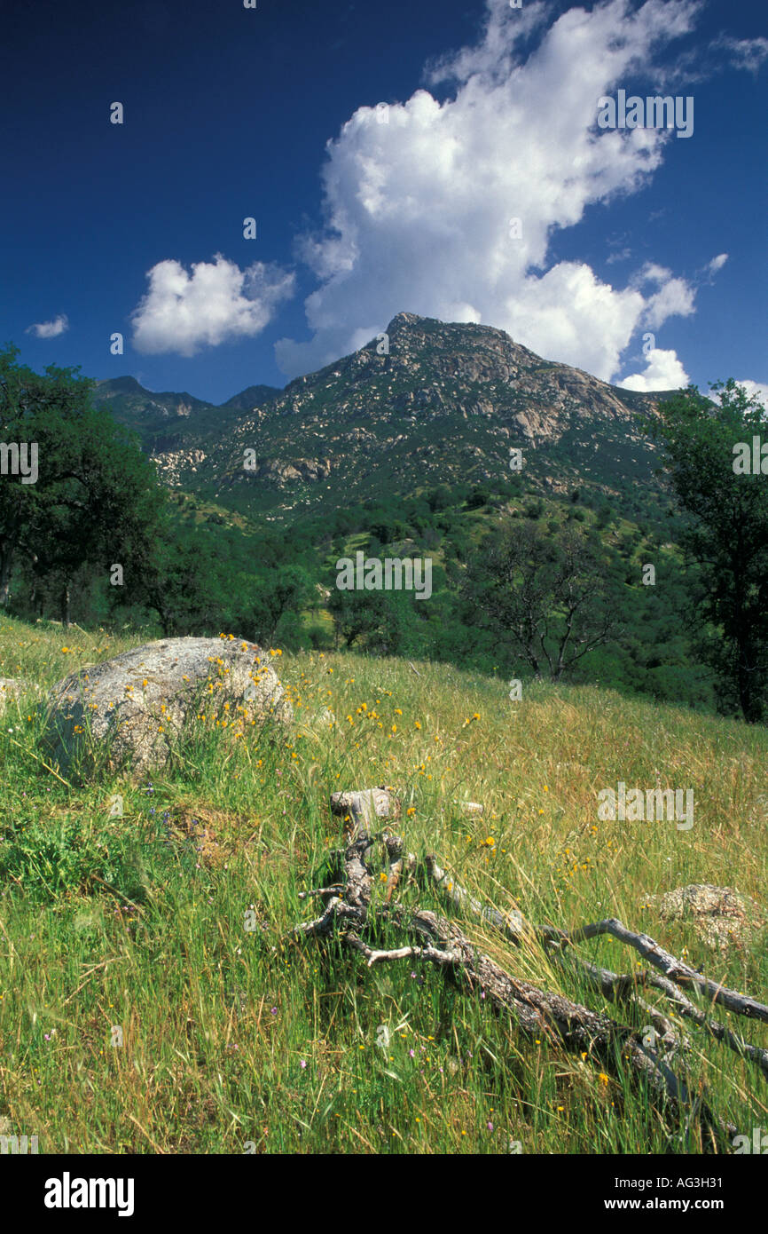 Spring in the Sierra Foothills Double Eagle Ranch near Three Rivers ...