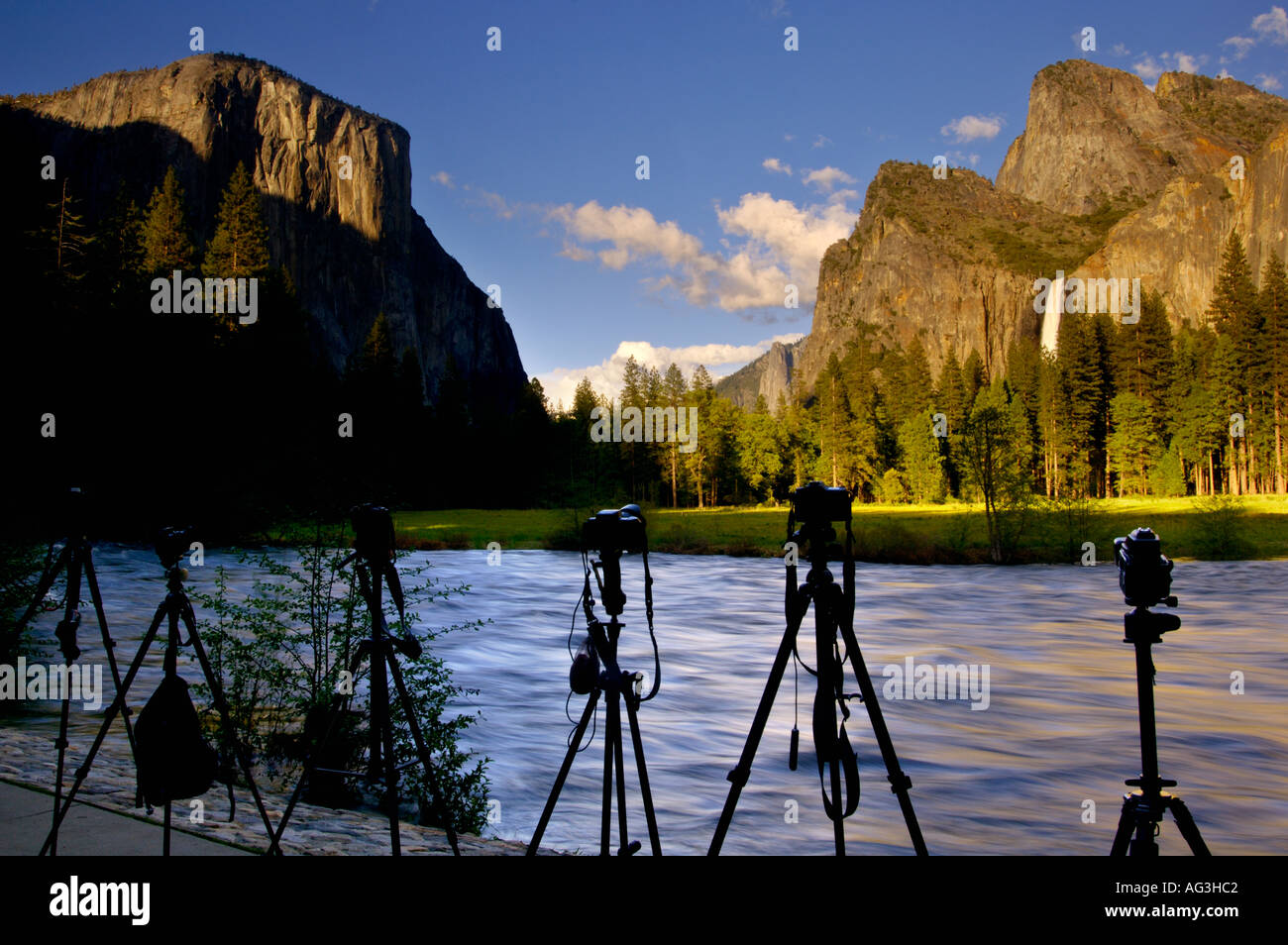 Cameras and tripods lined up at sunset next to the Merced River ...