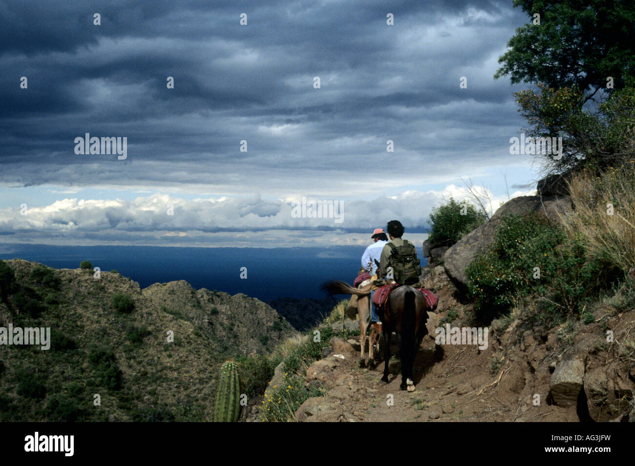 Riding in the hills Stock Photo - Alamy