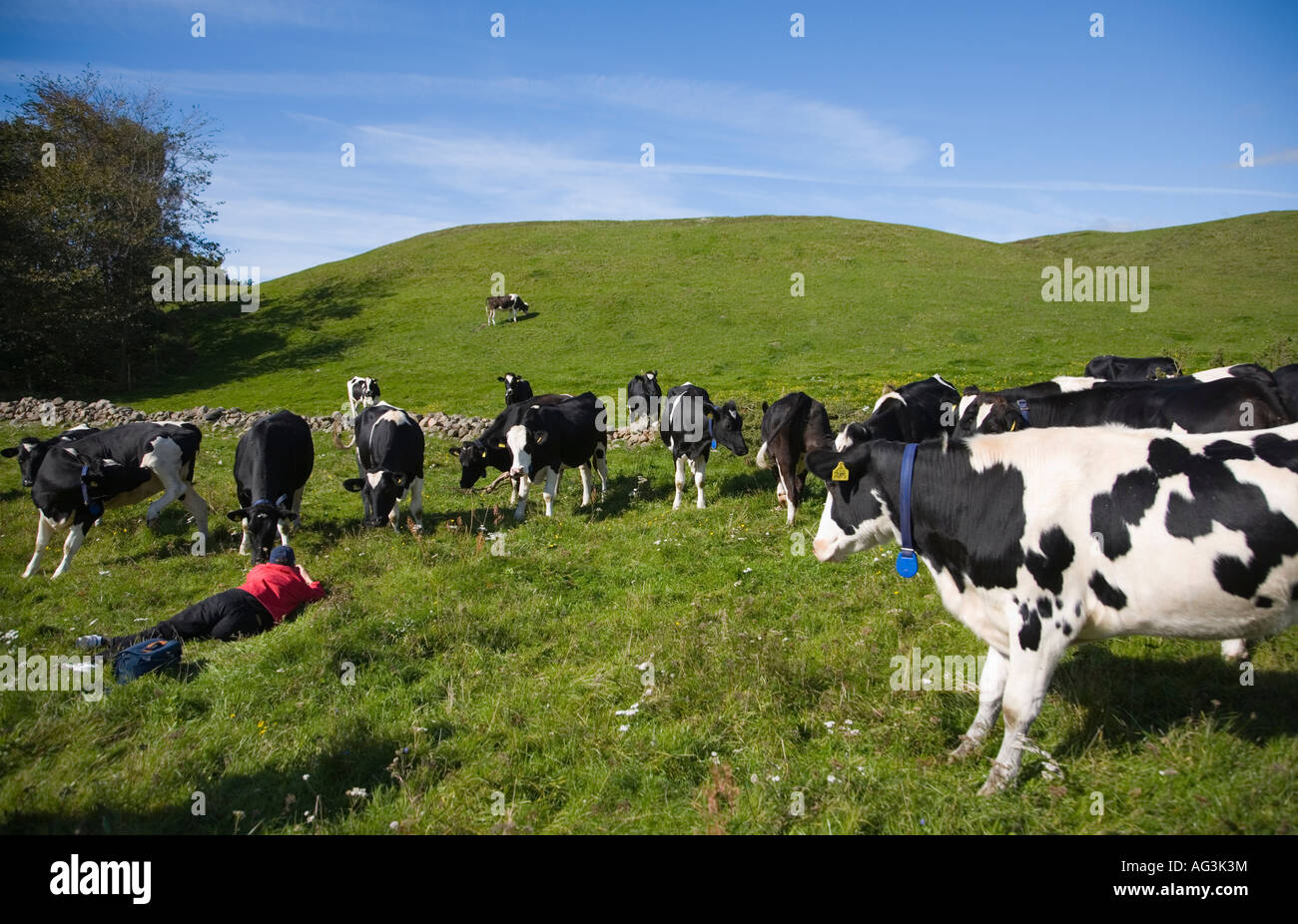 Atmospheric curiosity hi-res stock photography and images - Alamy