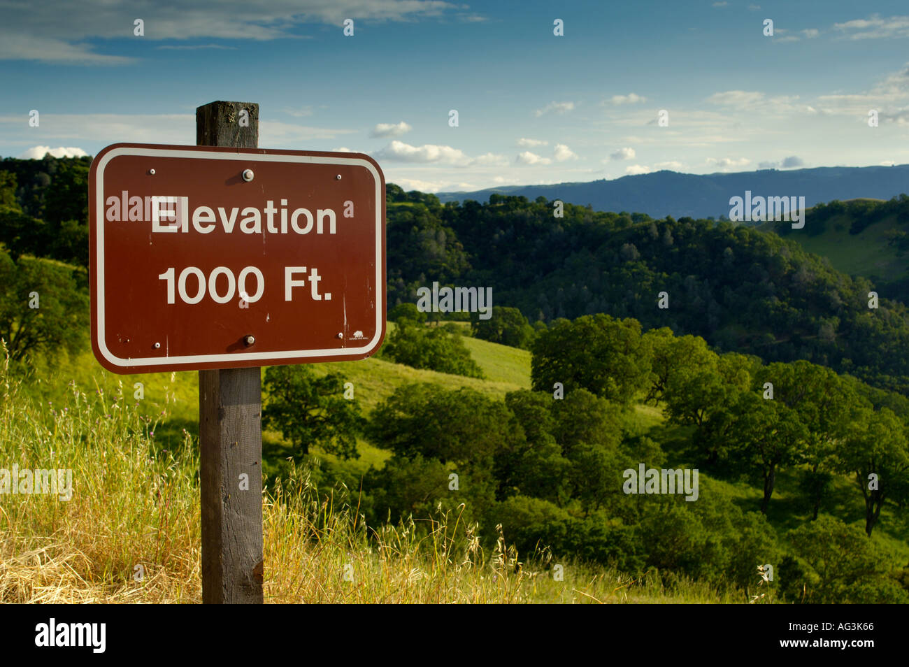 Elevation marker sign and rolling green hills and oak trees in spring ...
