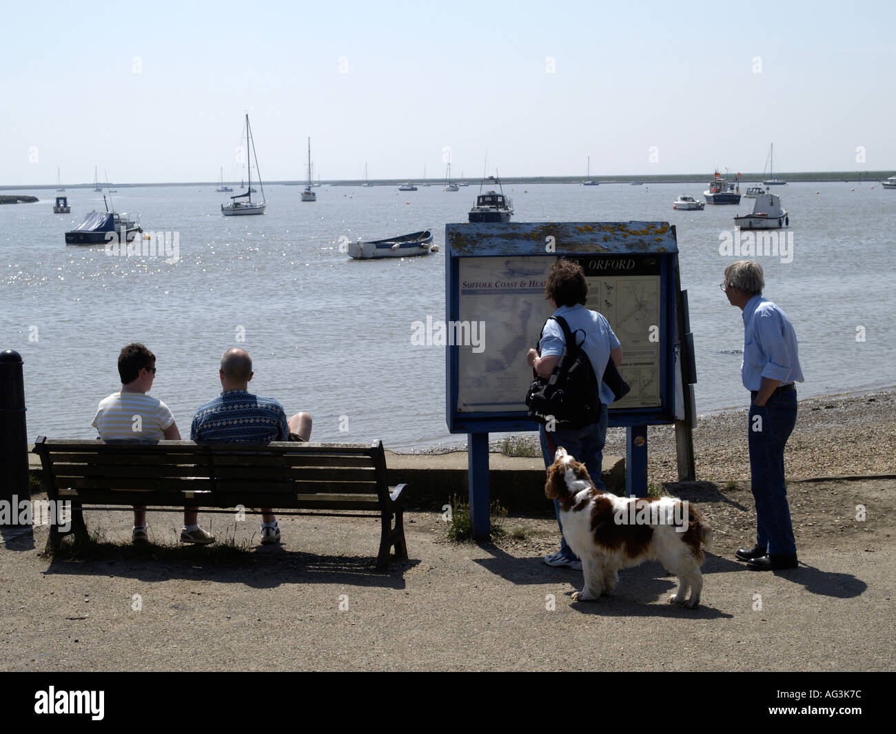 Couple Reading Notice Board High Resolution Stock Photography and ...