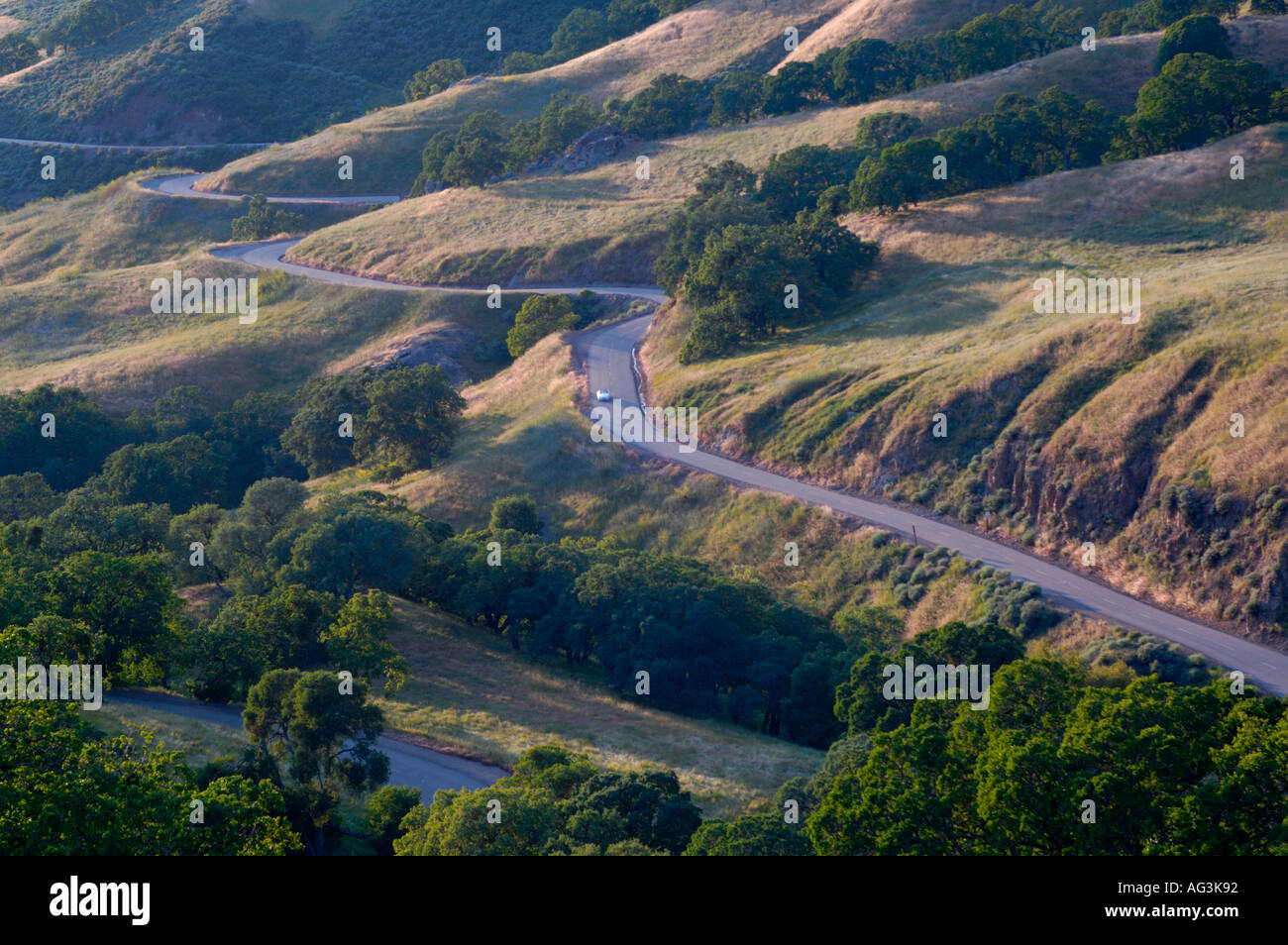 Car on twisting curves on road through grass hills and oak trees at ...