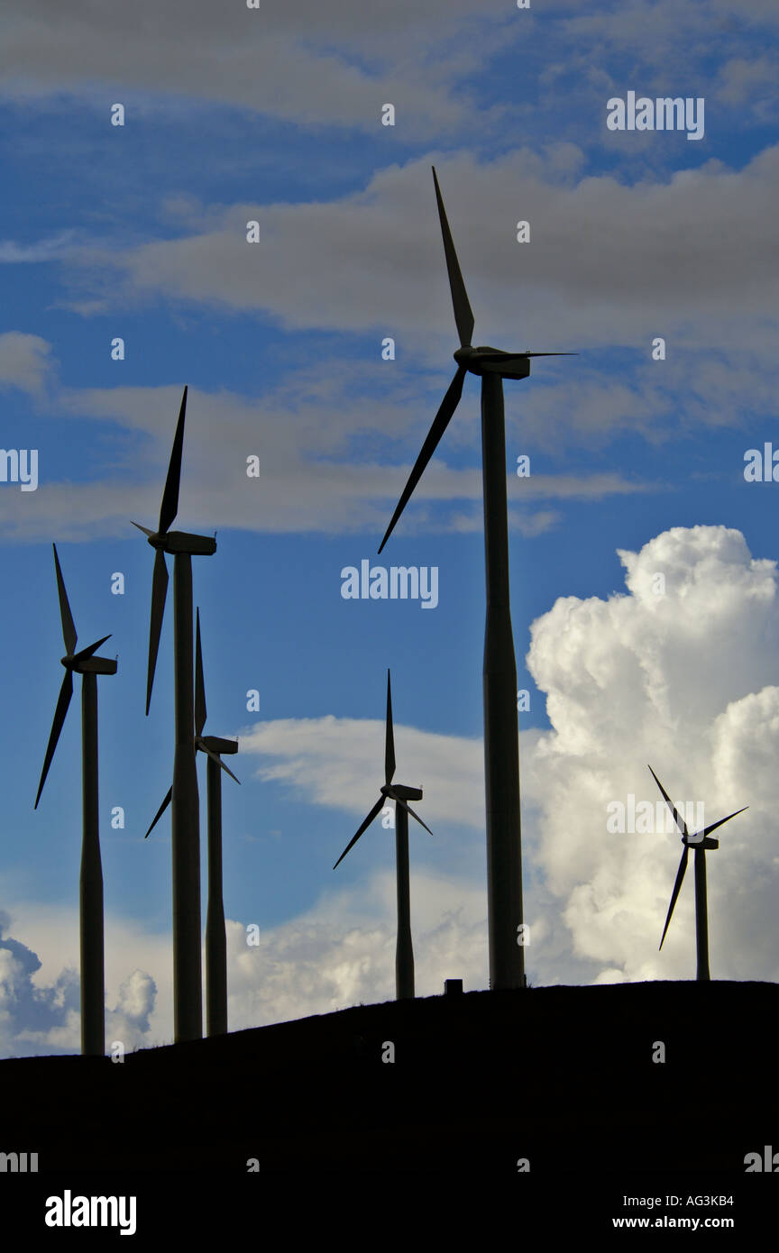 Power generating windmills in wind farm fields below dark grey ...
