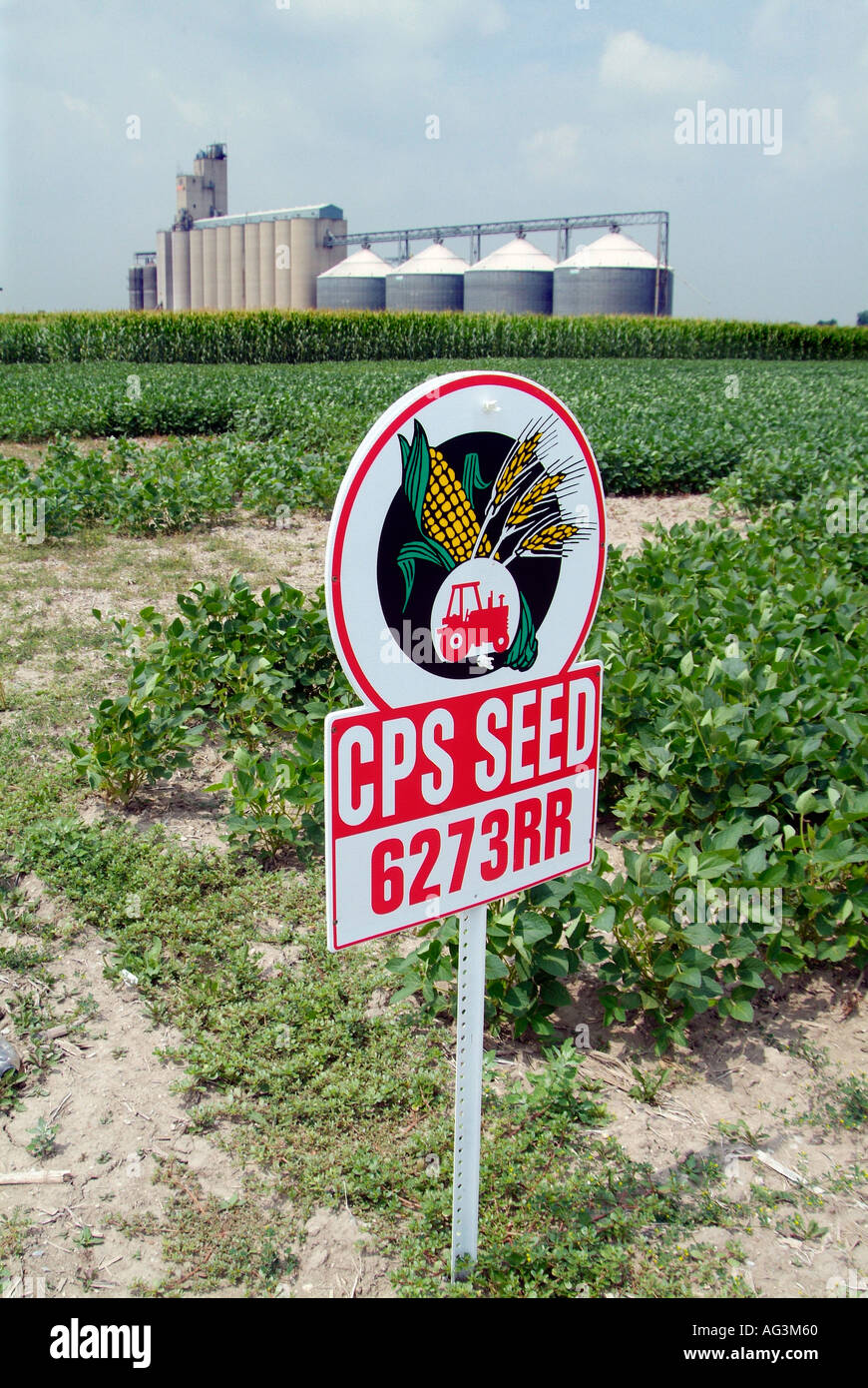 Variety of different corn growth test fields with grain elevator near ...
