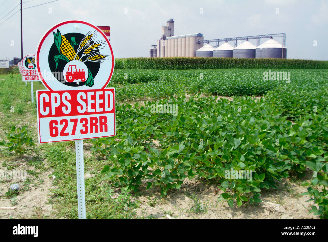 Variety of different corn growth test fields with grain elevator near ...