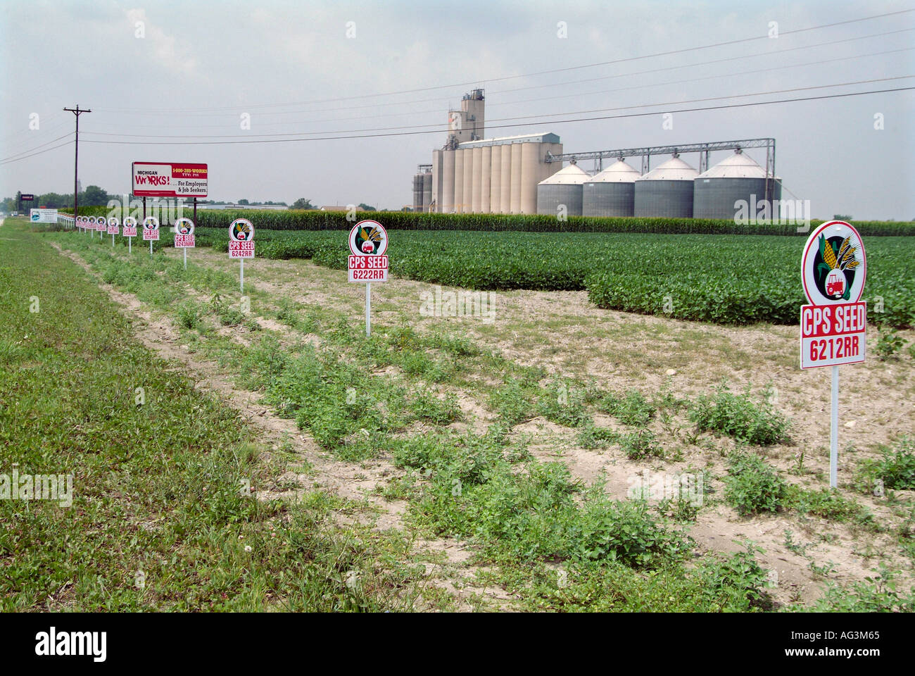 Variety of different corn growth test fields with grain elevator near ...