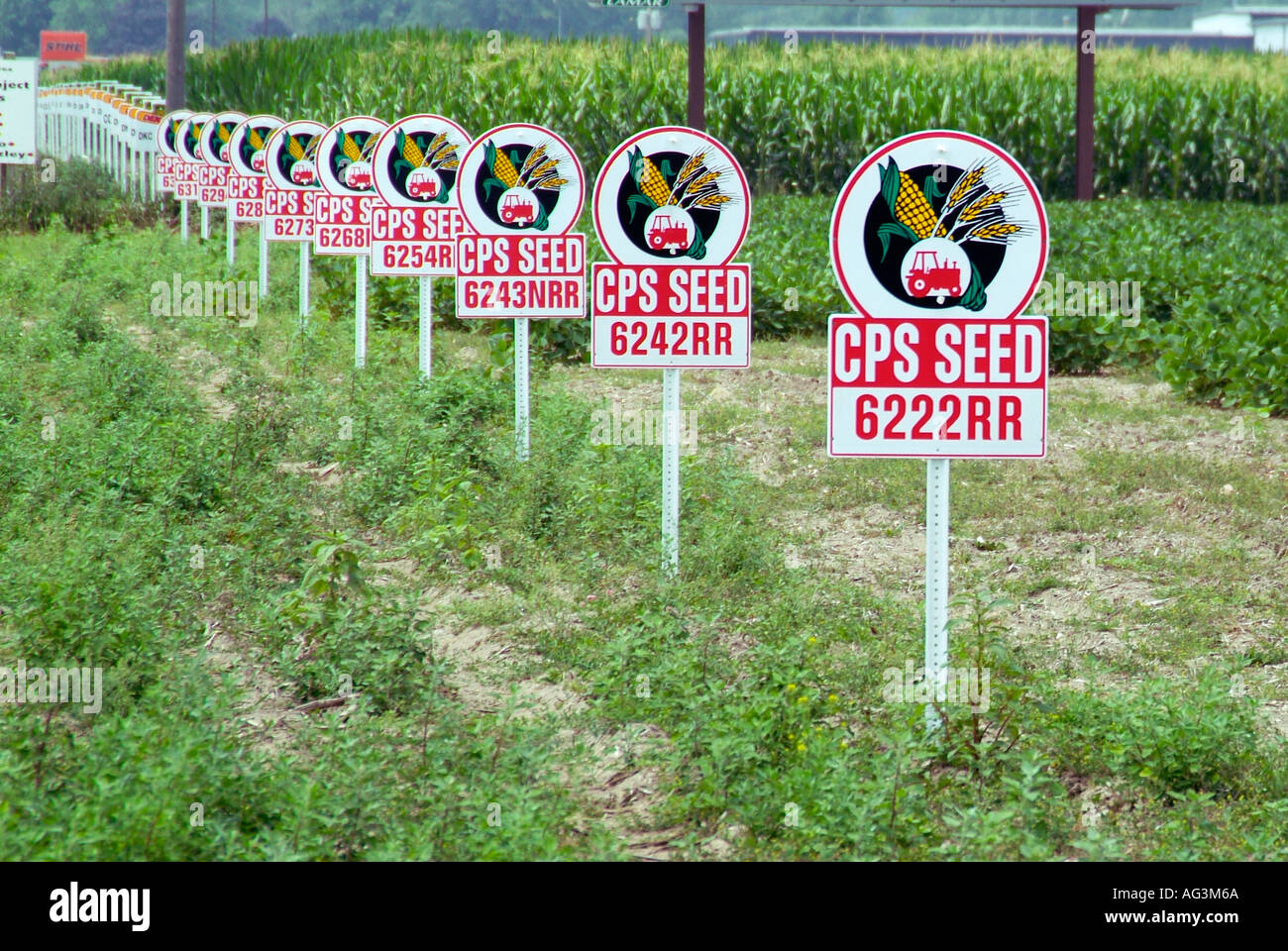 Variety of different corn growth test fields with grain elevator near ...