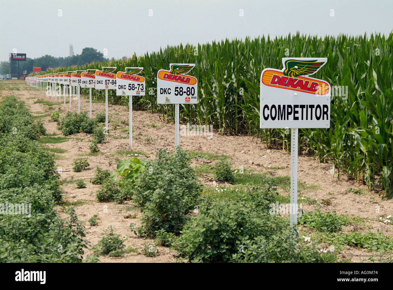 Variety of different corn growth test fields with grain elevator near ...