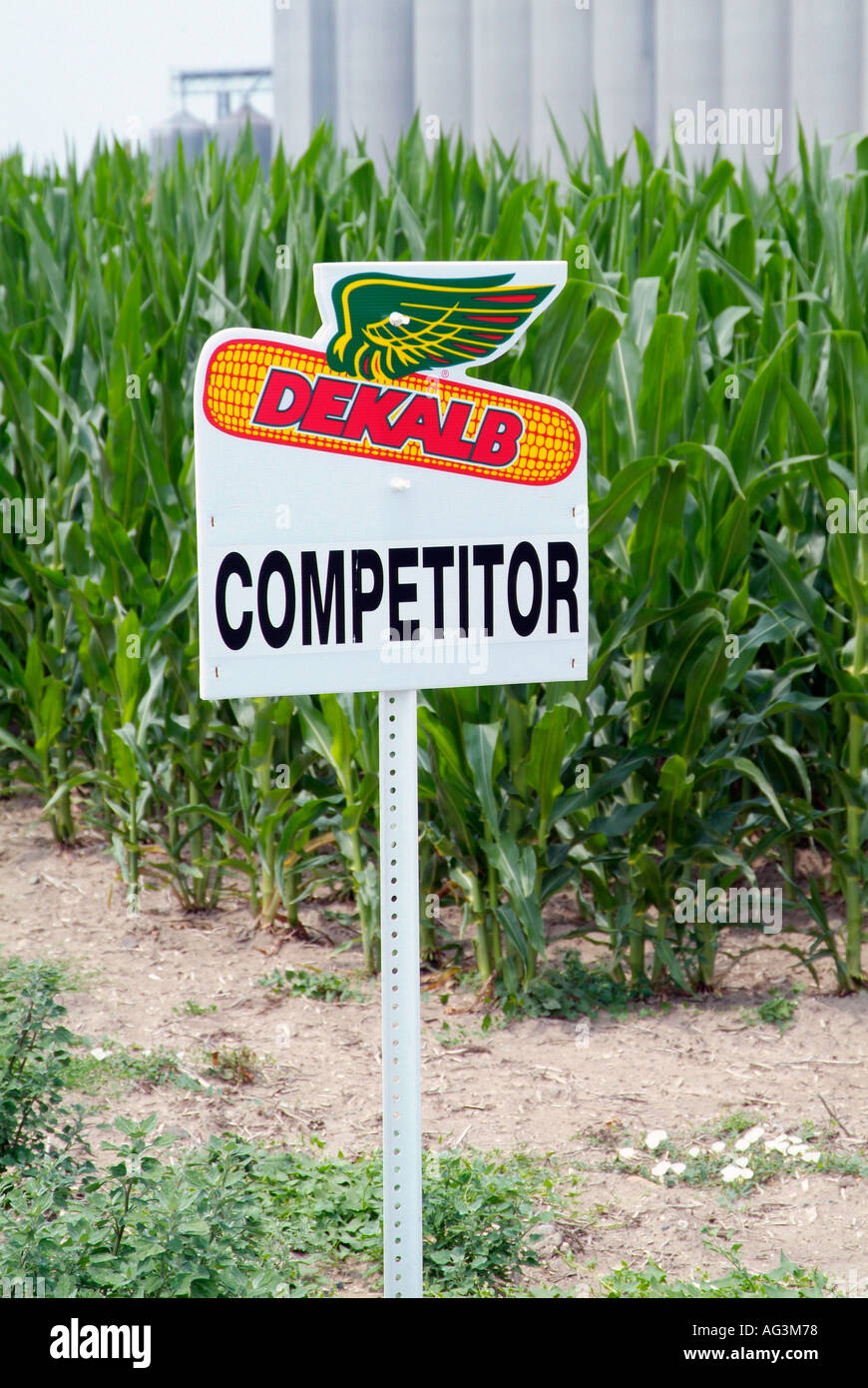 Variety of different corn growth test fields with grain elevator near ...