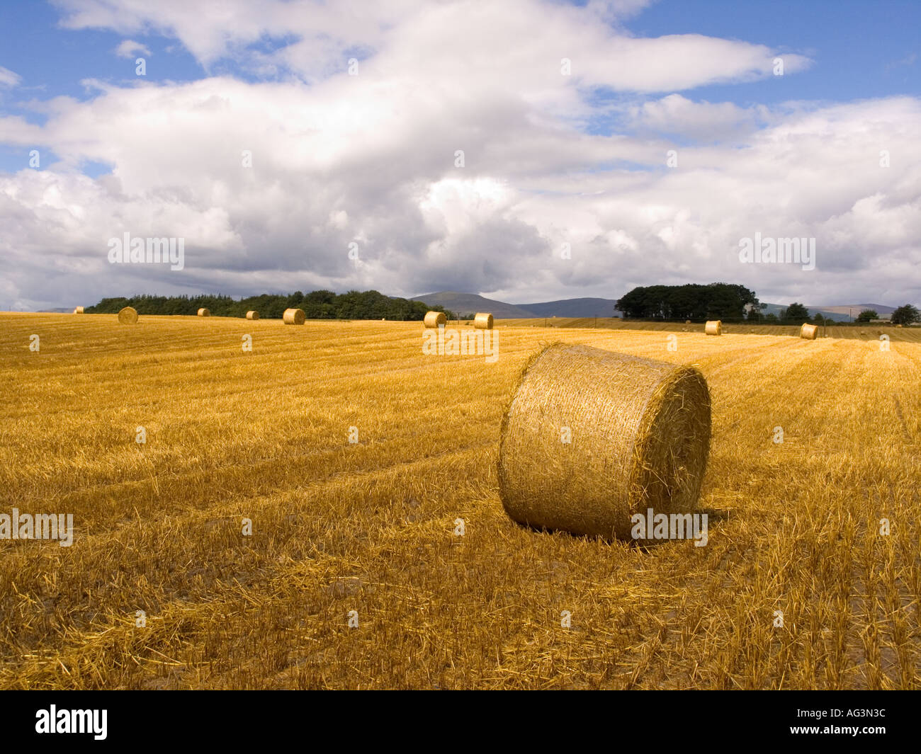 Harvest fields in Fife Scotland Stock Photo - Alamy