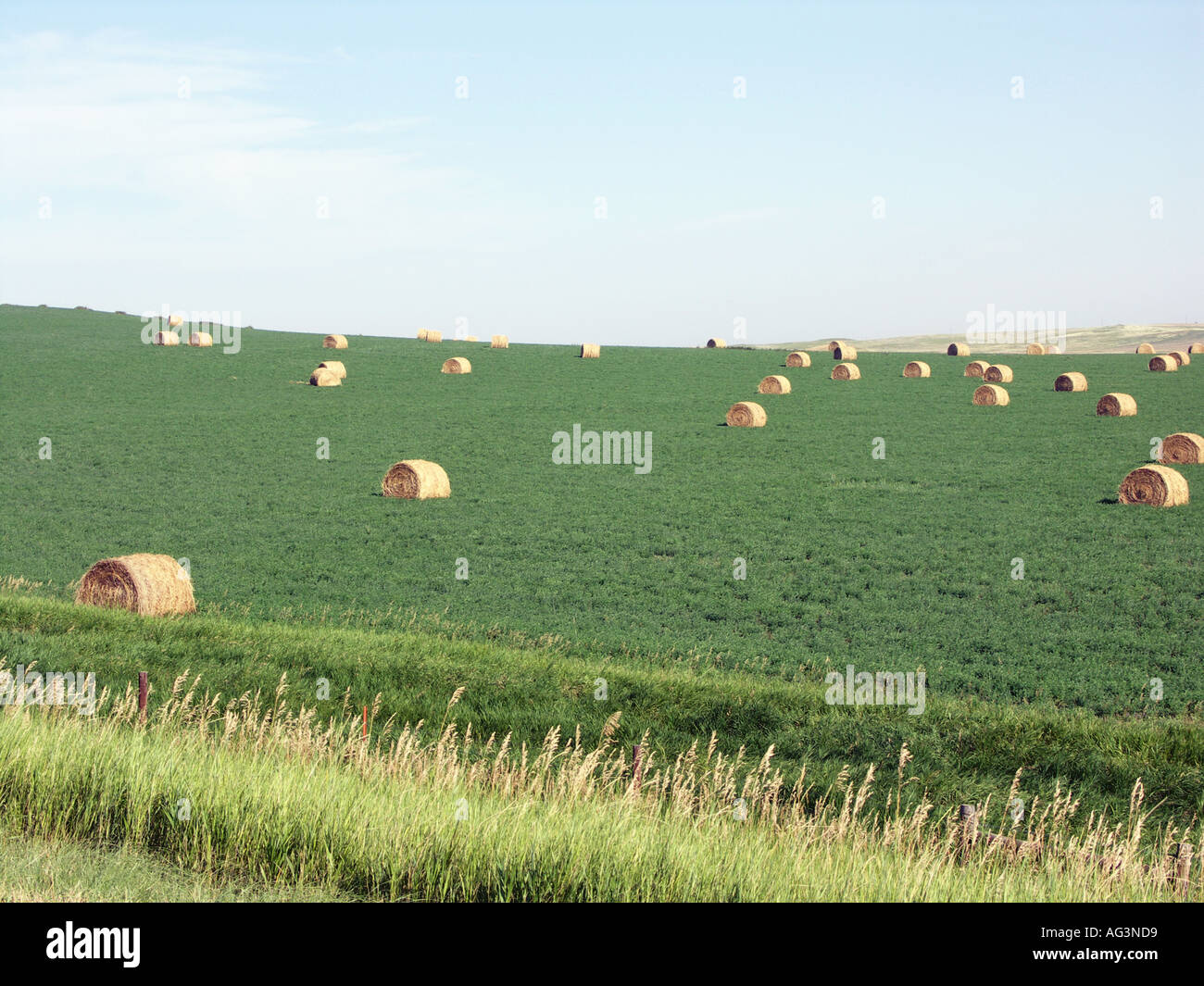 Round results hi-res stock photography and images - Alamy