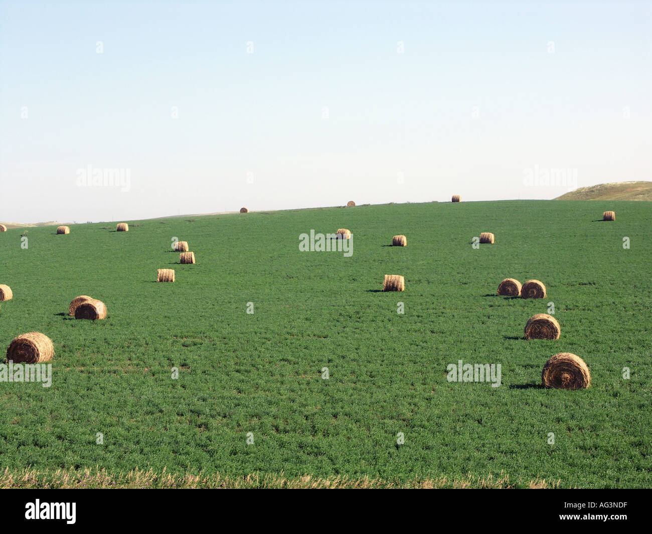 Round Hay Bales Stock Photo - Alamy