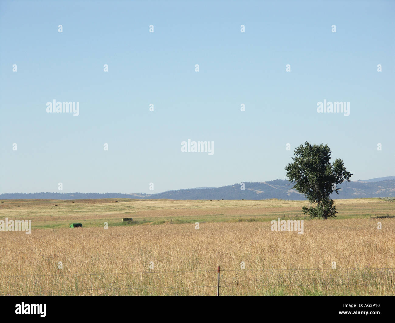 Big sky prairie usa hi-res stock photography and images - Alamy