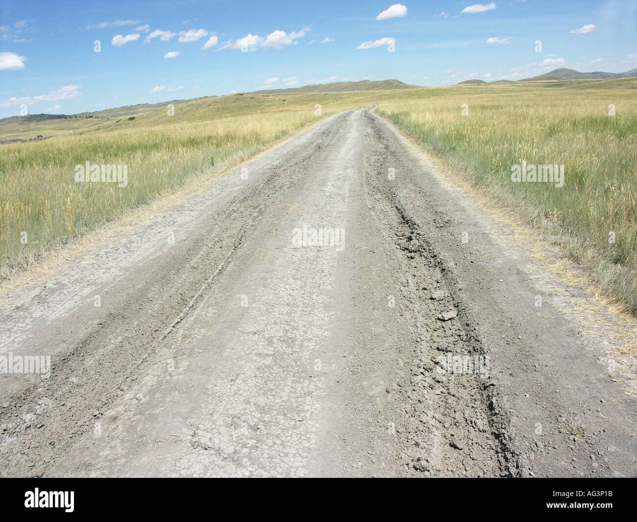 Two track rutted road hi-res stock photography and images - Alamy