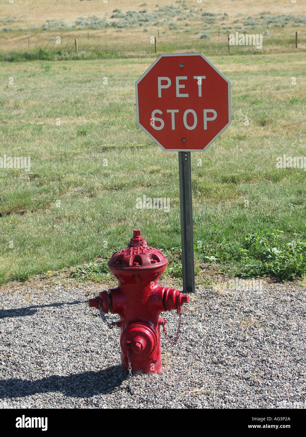 Pet Stop at Rest Stop along Highway Stock Photo - Alamy