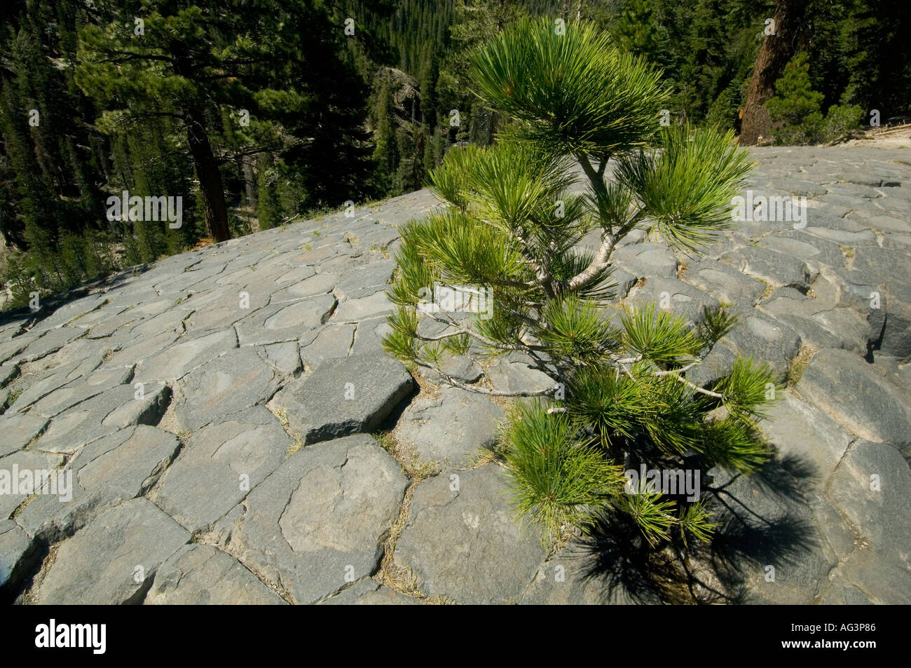 USA, "DEVIL'S POSTPILE NATIONAL MONUMENT", California, "Sierra Nevada ...