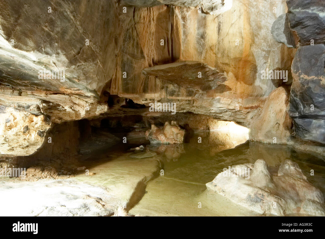 Cox s Cave with stalagmites and stalagtites in limestone Cheddar Gorge ...